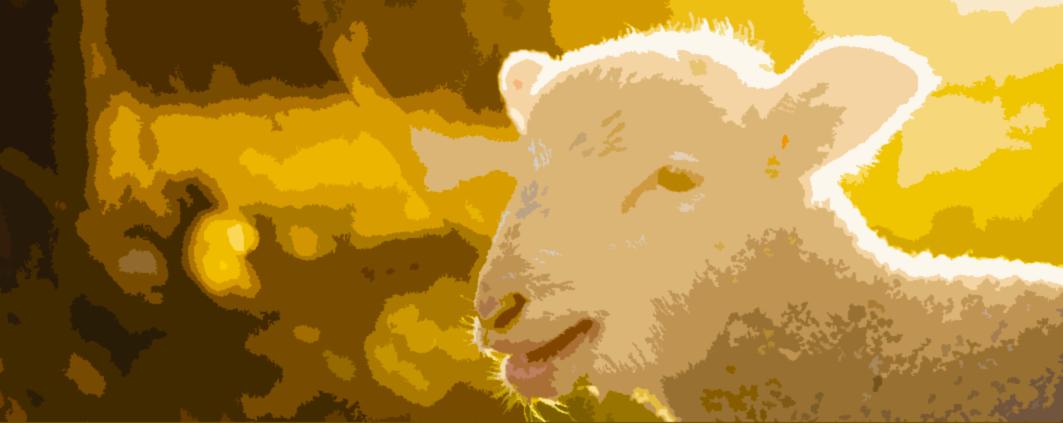 Tzav - Sacrifices | Hebrew Congregation of Somers